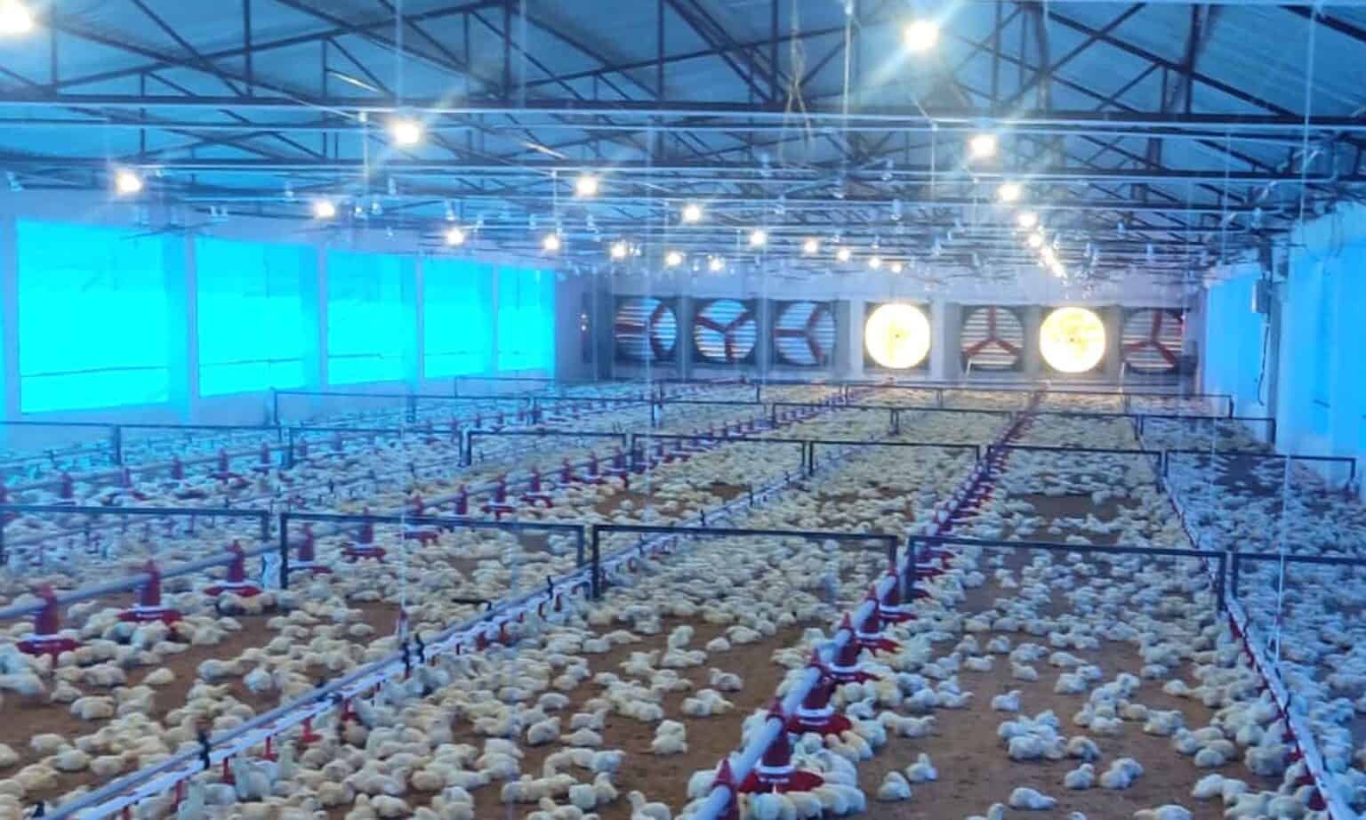 EC BROILER FARM PROJECT, EC POULTRY FARM PROJECT